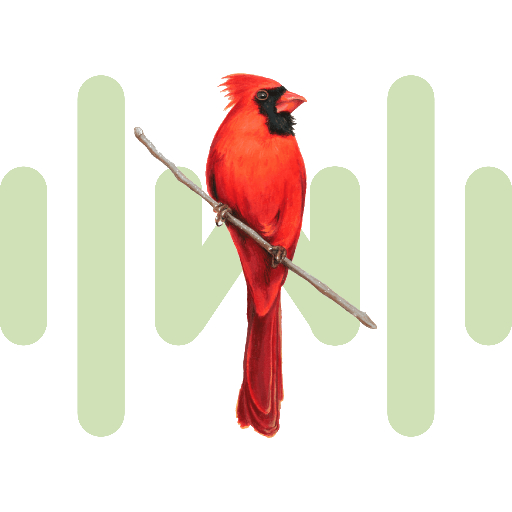 Cardinal SoundBoard - Bright Bird Calls & Sounds Online!